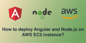 How to deploy Angular and Node.js on AWS EC2 instance? - Niraltek Blog