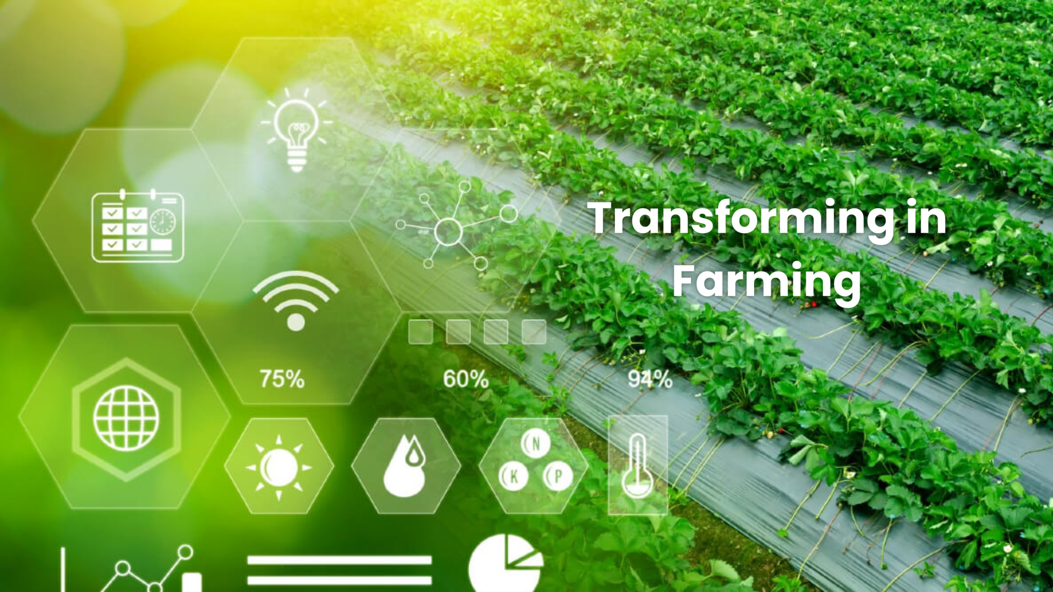 How IoT is Transforming Farming Smarter Crops, Better Yields - Niraltek ...